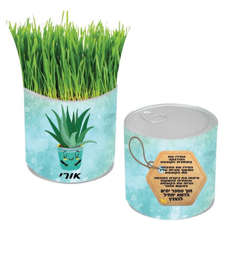 גינת פלאים-ראש דשא דגם עננים - SIVAN STUDIO